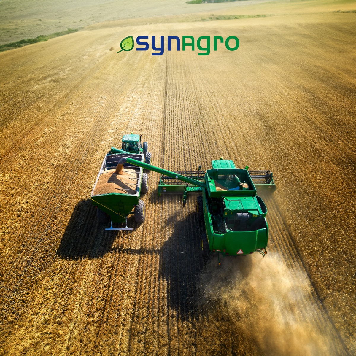 Todos los cursos | Academia Synagro